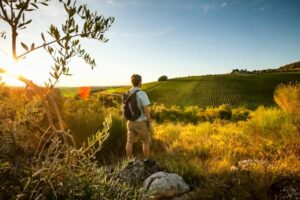 Turismo sostenibile: il progetto regionale “Tesa” fa tappa a Siena | Il ...