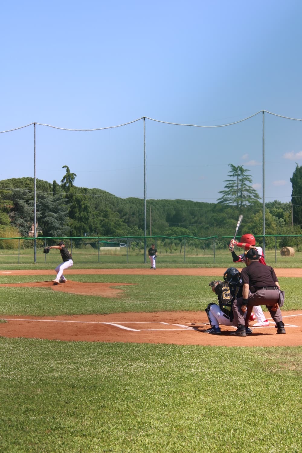 Baseball: Siena vince 20-8 con la Fiorentina | Il Cittadino Online